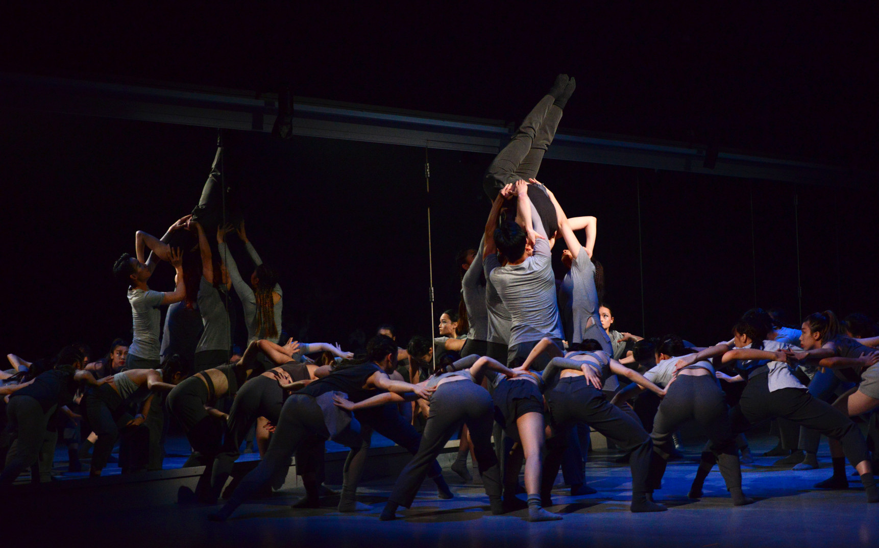 Professional Diploma in Dance | School of Dance